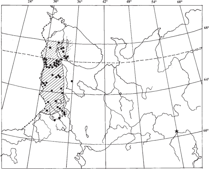 Download Drawn Smoke Shading - Line Art PNG Image with No Background ...