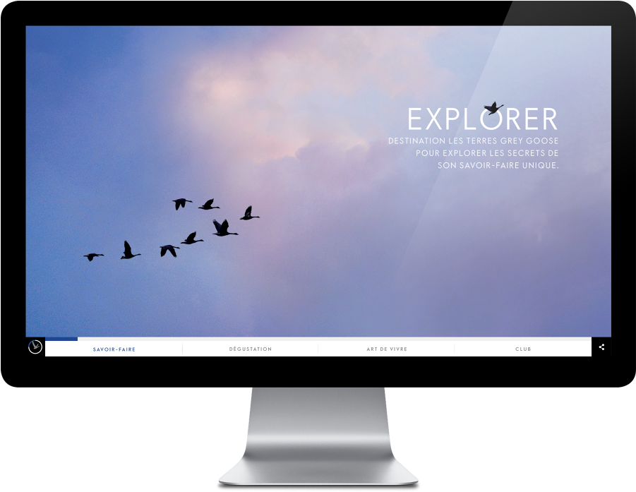 Download Grey Goose - Design PNG Image with No Background - PNGkey.com