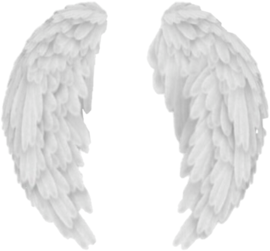 Download Wings Sticker - Angel Wings PNG Image with No Background ...