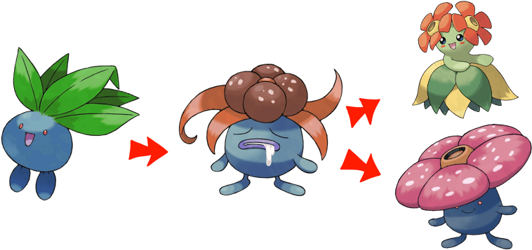 Download Gloom Special Item Evolution PNG Image with No Background ...