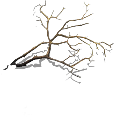Download Ho Broken Bridge Branch-icon - Twig Branch PNG Image with No ...