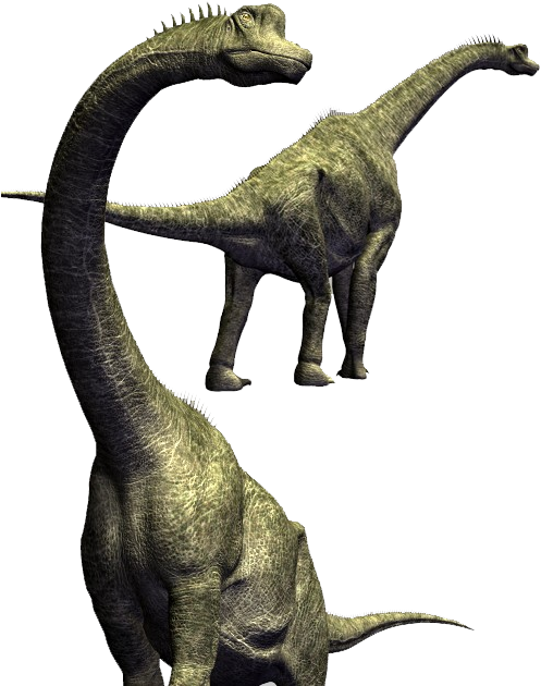 Brachiosaurus Skeleton Model