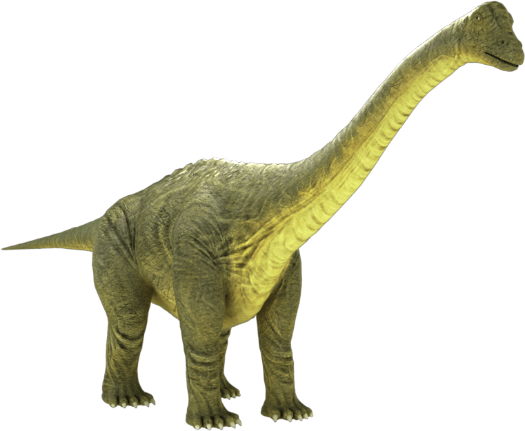 Download 850 X 850 2 - Brontosaurus Png PNG Image with No Background ...