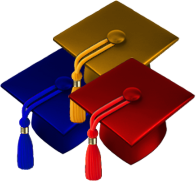 Download Phd Degree Options - Graduation PNG Image with No Background ...
