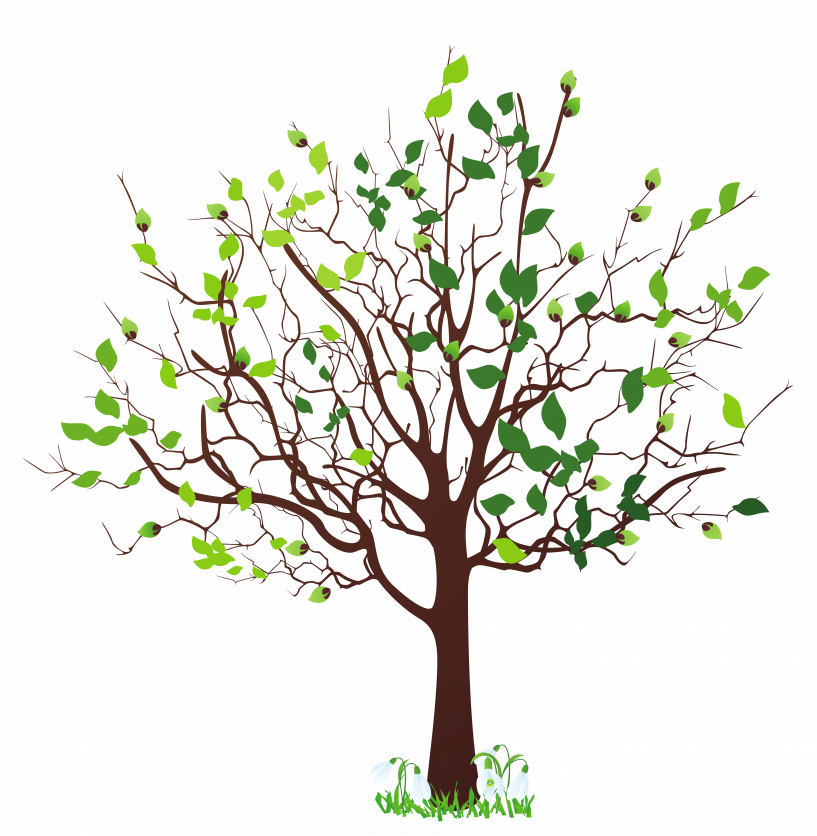 Download 4 Seasons Tree Png PNG Image with No Background - PNGkey.com