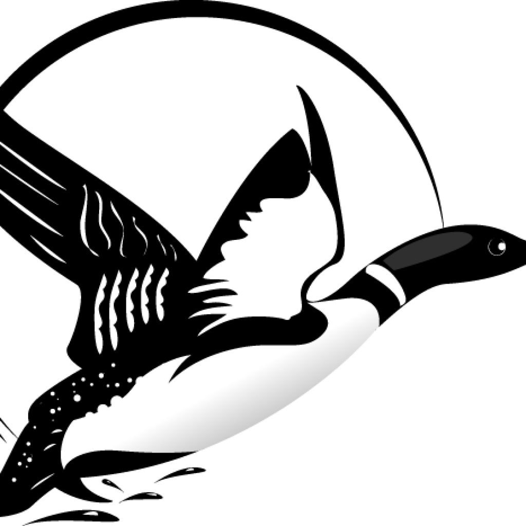 Download Loon Clip Art Flying Drawing Google Search Ideas Pinterest ...