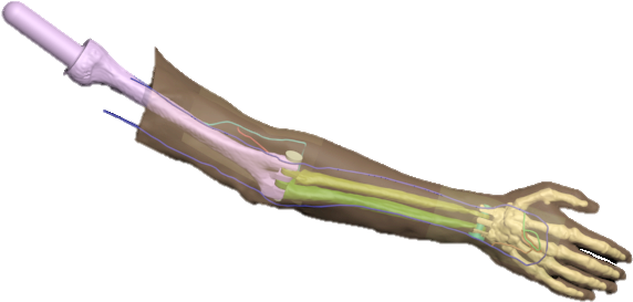 Detailed User Manual - Bowie Knife - Free Transparent PNG Download - PNGkey