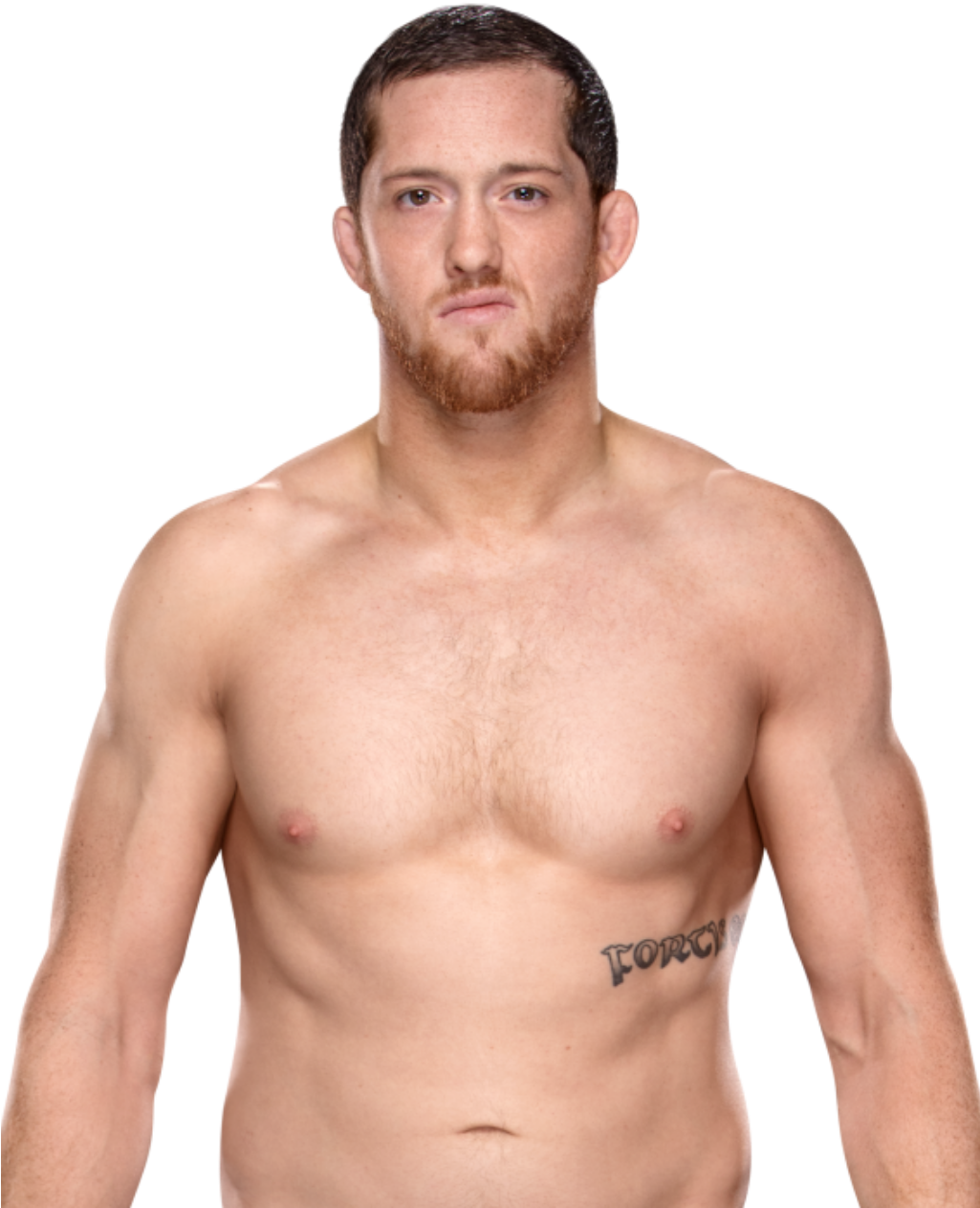 Download Kyle O'reilly - Wwe Kyle O Reilly Png PNG Image with No ...