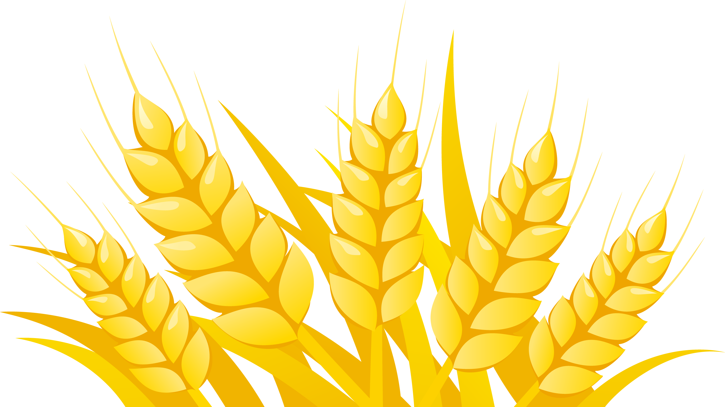 Wheat Clipart Vector - Vector Wheat Png - Free Transparent PNG Download ...