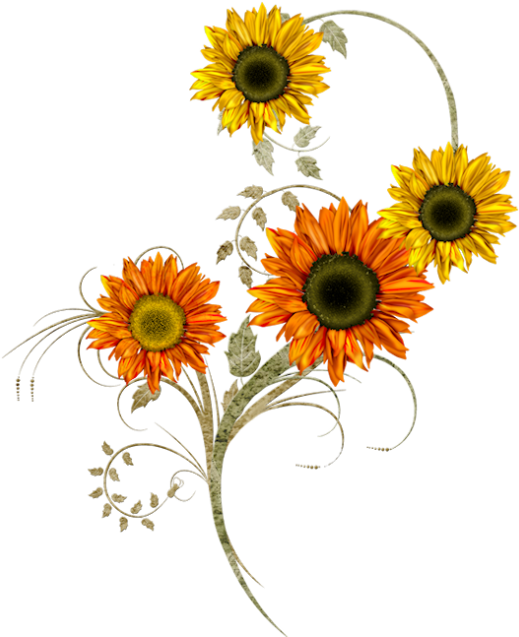 Download You Might Also Like - Sunflower Thanksgiving Clipart PNG Image ...