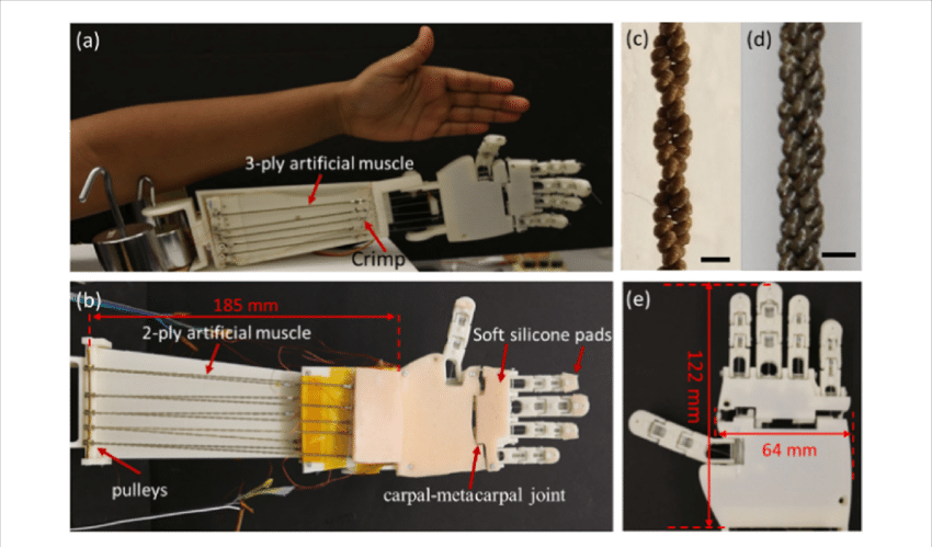 Download Tcp Hand Prototypes - Scale Model PNG Image with No Background ...