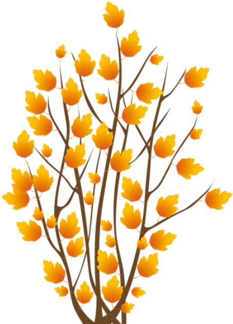 Download Free Png Fall Bush Png Images Transparent - Tree Autumn Vector ...