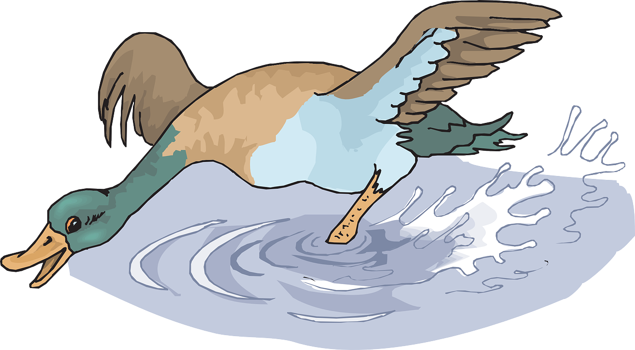 Download Water Splash Happy - Cartoon Duck Splashing PNG Image with No ...