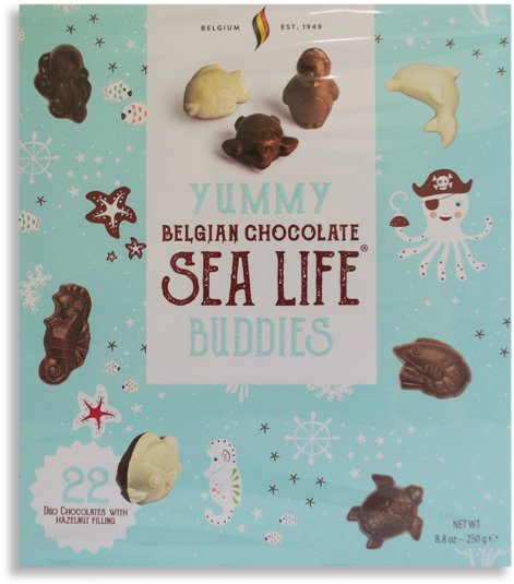 Download Sea Life Buddies - Poster PNG Image with No Background ...