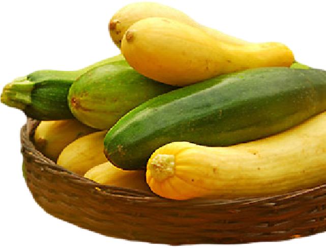 Download Zucchini PNG Image with No Background - PNGkey.com