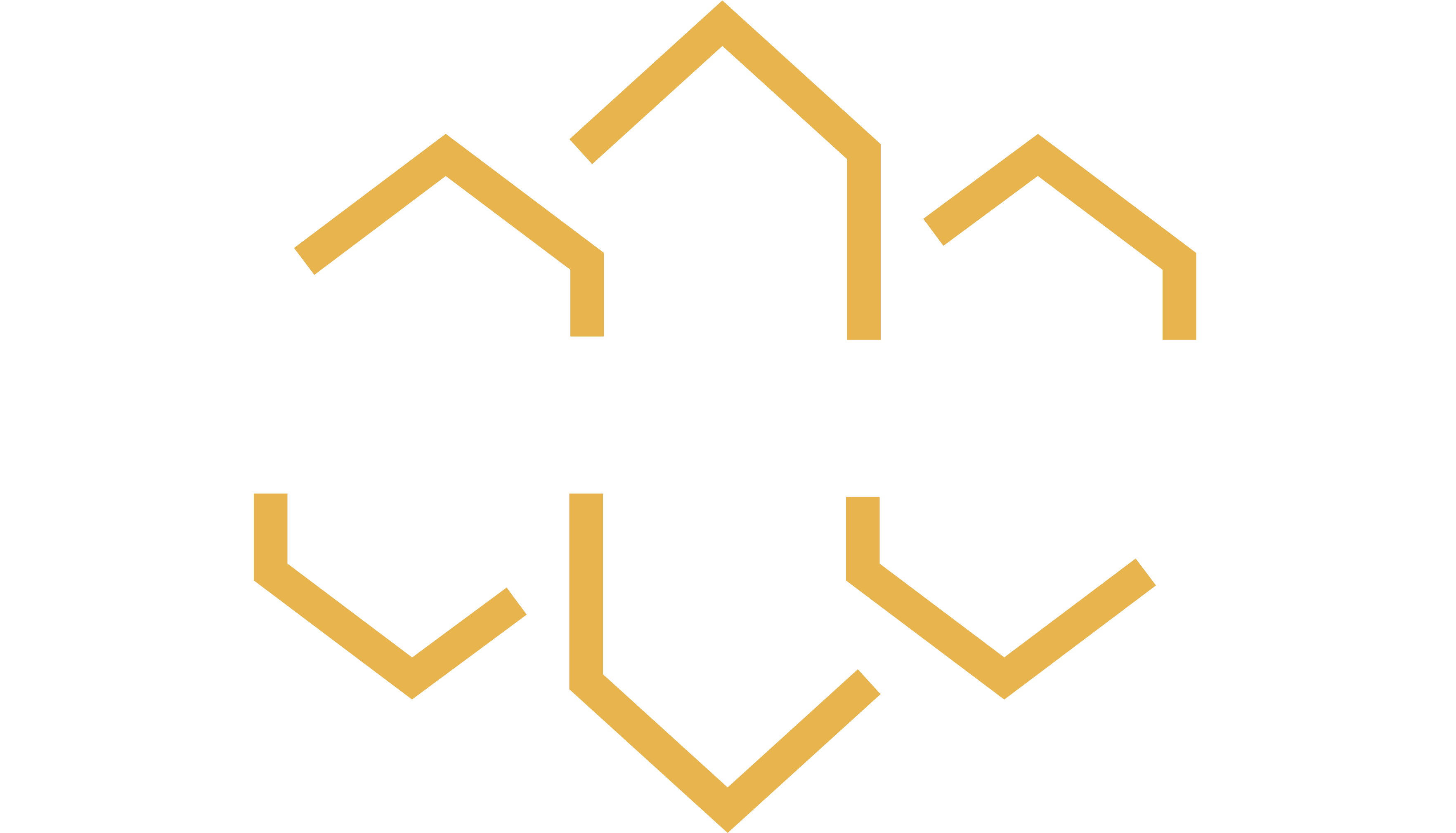 Download Run The Risk//the Toads//vincent Randazzo & The Beholder ...