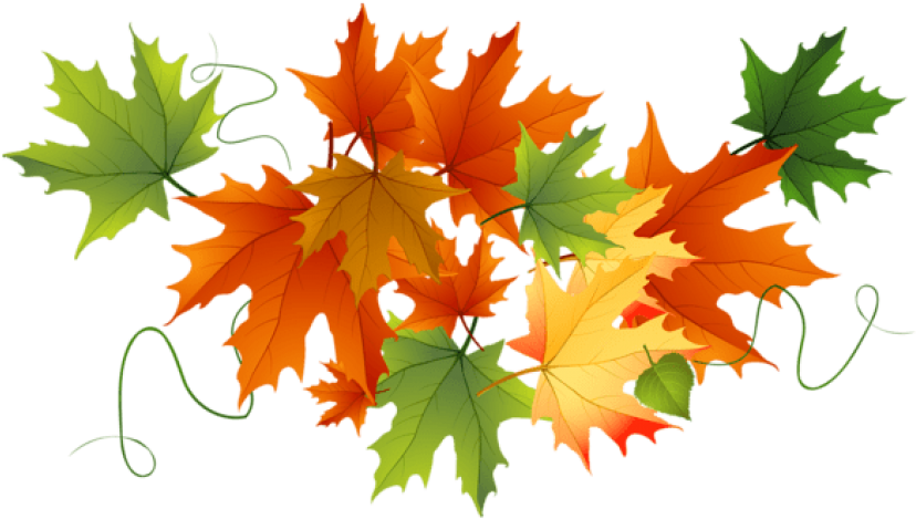 Free Png Download Autumn Transparent Leaves Clipart - Fall Leaves No ...