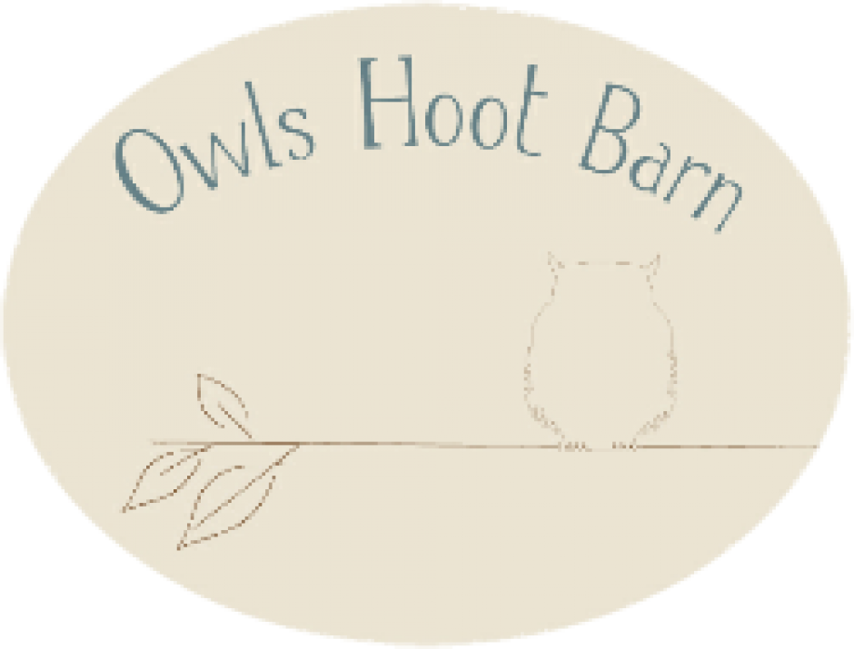 Download Cropped Owls Hoot Logo Transparent Background14 - Circle PNG ...