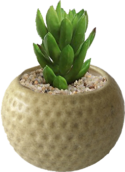 Matte Finished Dotted Ceramic Pot - Small Plant Pot Png - Free ...
