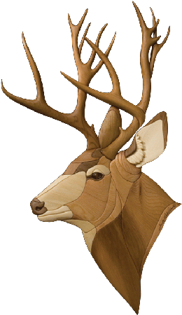 I 278 Mule Deer - Deer Head Side Profile - Free Transparent PNG ...