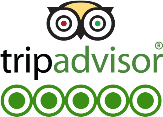 Tripadvisor-logo - Free Transparent PNG Download - PNGkey