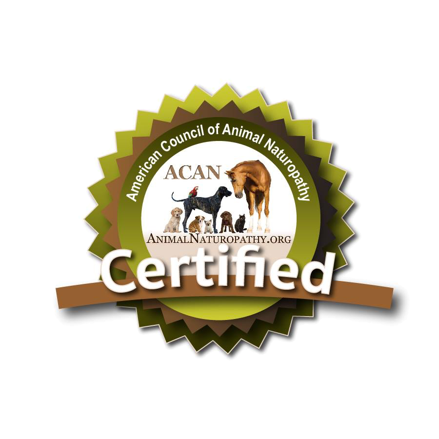 Download Certified In Animal Naturopathy - Turkey PNG Image with No ...