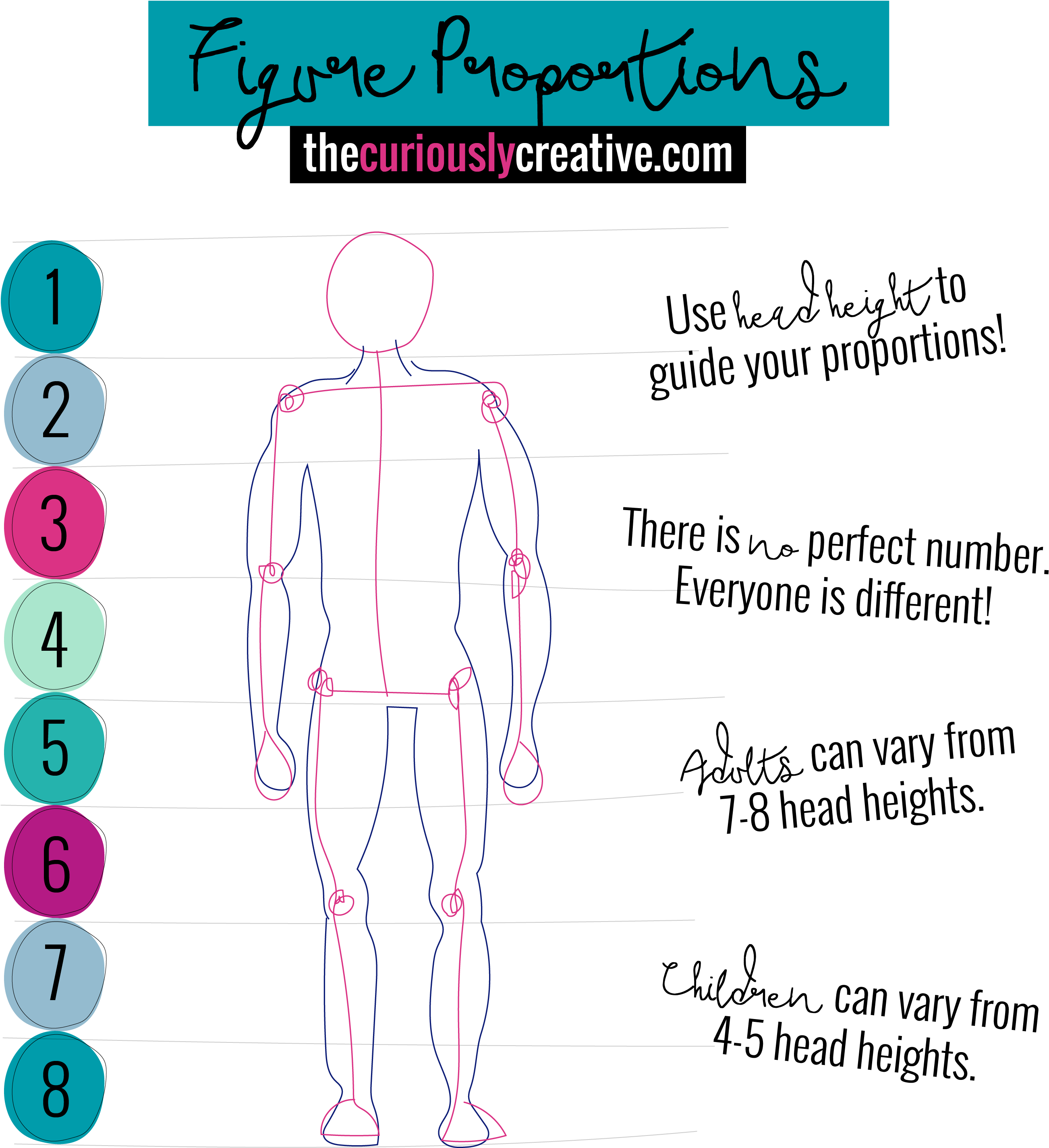 Download Figure Proportion Drawings - Head Proportion Drawing Height ...
