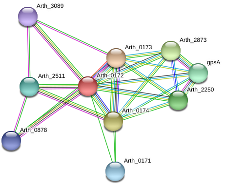 Download Dhak Png PNG Image with No Background - PNGkey.com