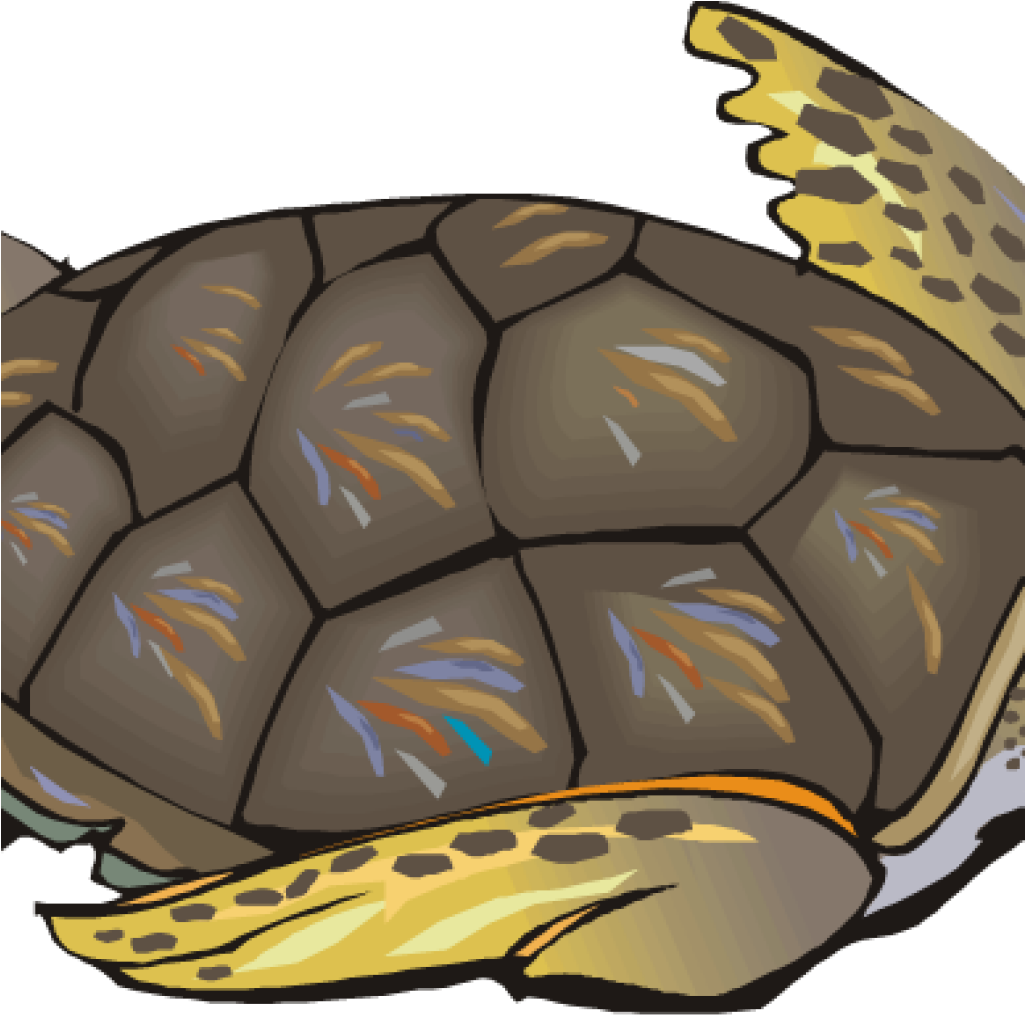 Sea Turtle Clipart Sea Turtle Clip Art Free Clipart - Clip Art ...