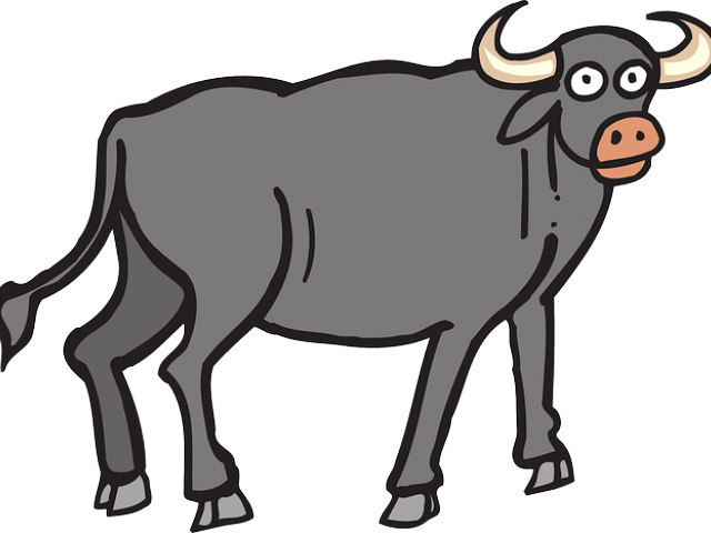 Ox Clipart Toro - Buffalo Clipart - Free Transparent PNG Download - PNGkey