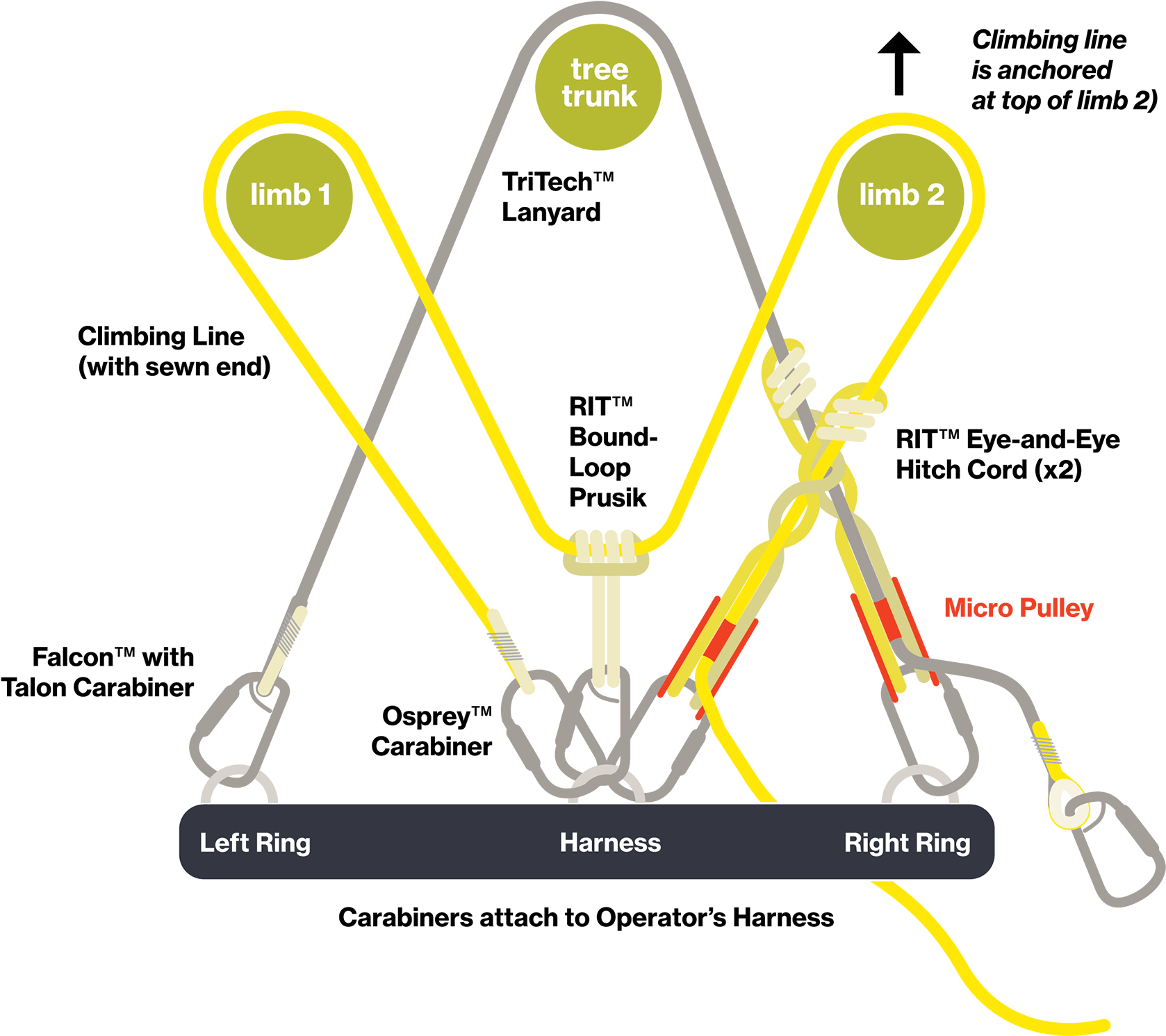 M System - Diagram - Free Transparent PNG Download - PNGkey