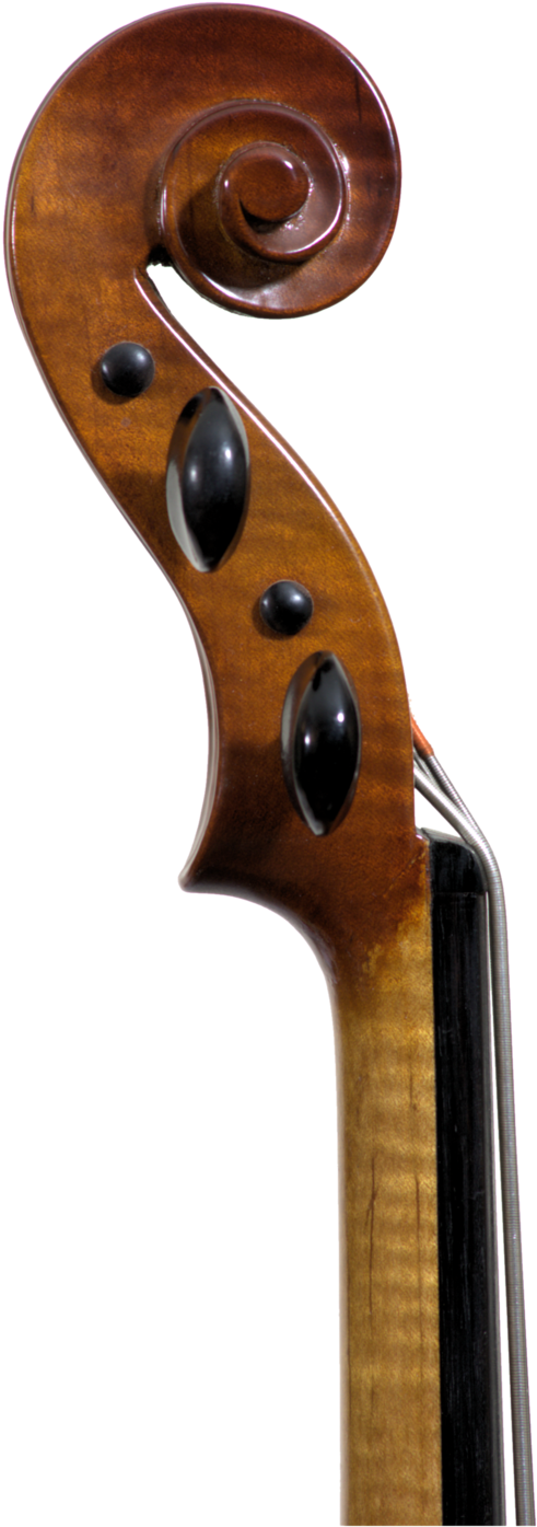 Octave Scroll - Viola - Free Transparent PNG Download - PNGkey