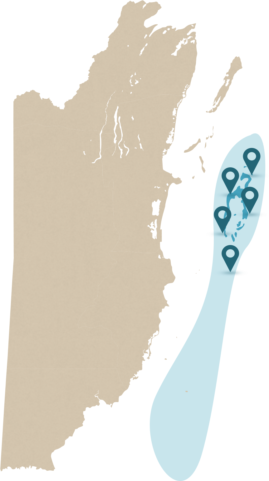 Download Belize Reef - Drawing Of The Map Of Belize PNG Image with No ...