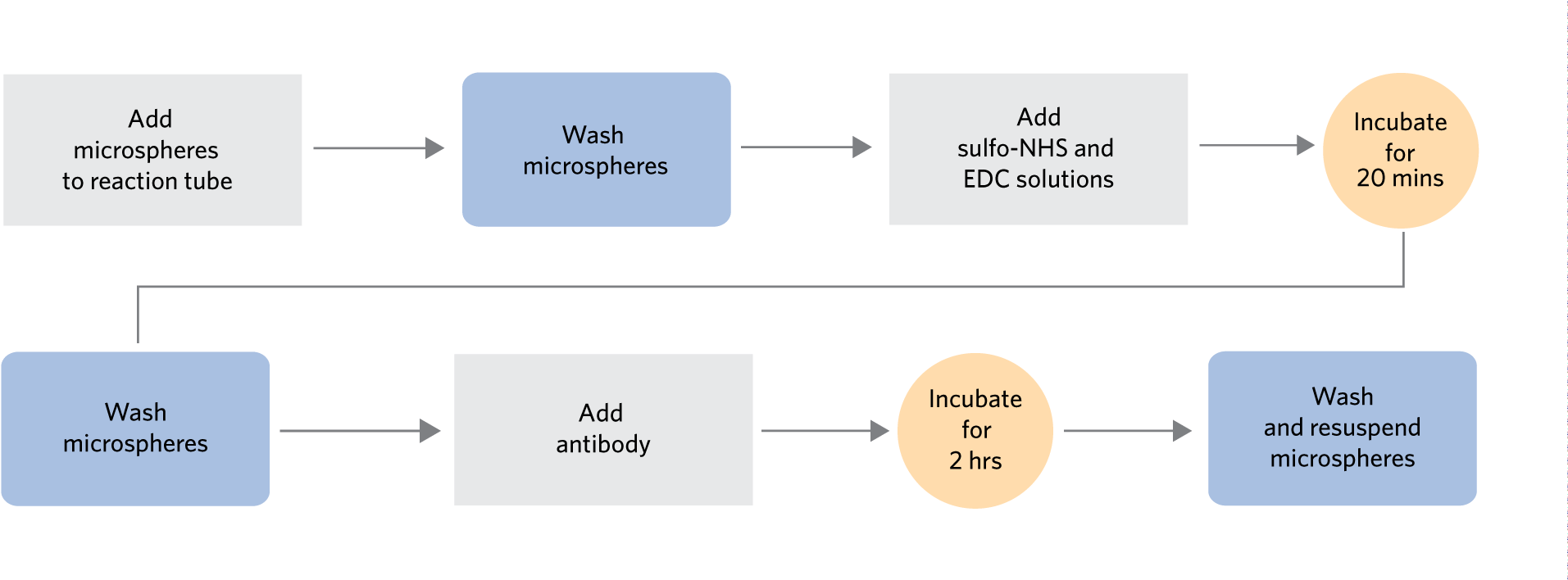 Download Xmap Antibody Coupling Kit Workflow Overview For Use - Diagram ...