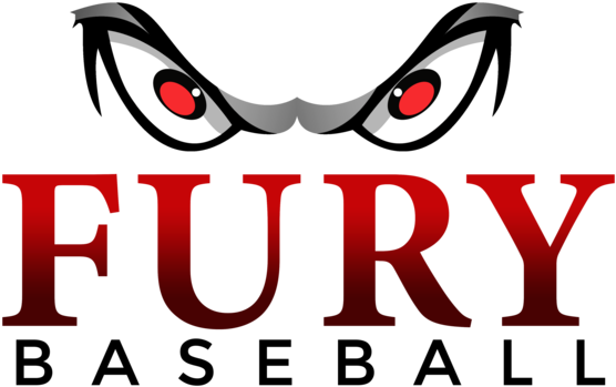 Download Fury-baseball - Graphic Design PNG Image with No Background ...