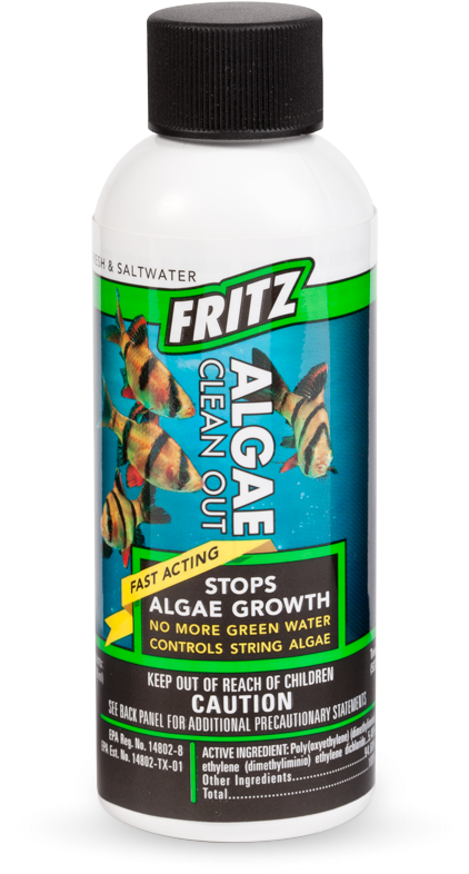 Download Fritz Algae Clean Out - Insect PNG Image with No Background ...