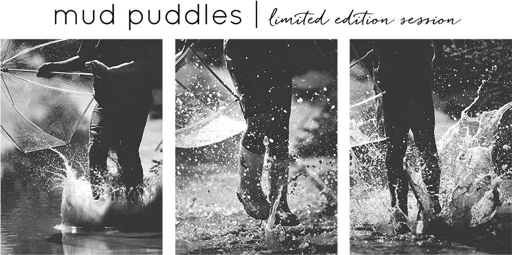 Download Mud Puddle Les PNG Image with No Background - PNGkey.com