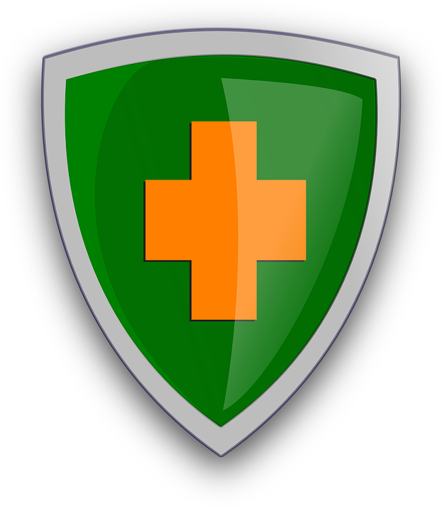Download Defend Shield Protect - Shield PNG Image with No Background ...