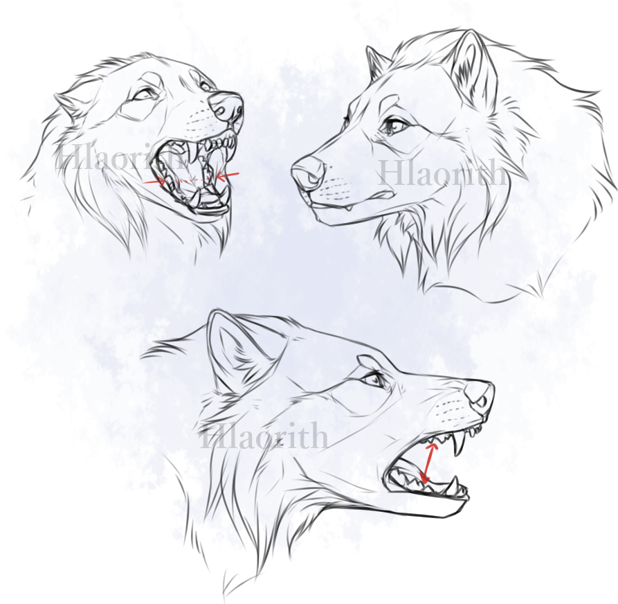 Download Tokota Faces By Hlaorith - Drawing PNG Image with No ...