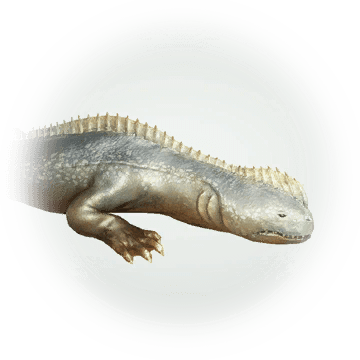 Download Blue Lizard - Icon PNG Image with No Background - PNGkey.com