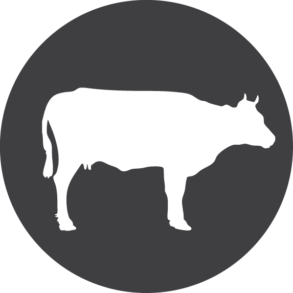 Icon - Beef Cow Icon - Free Transparent PNG Download - PNGkey