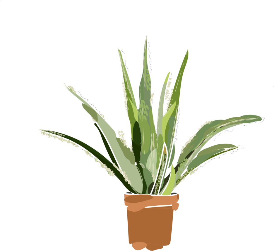 Download Prev / Next PNG Image with No Background - PNGkey.com