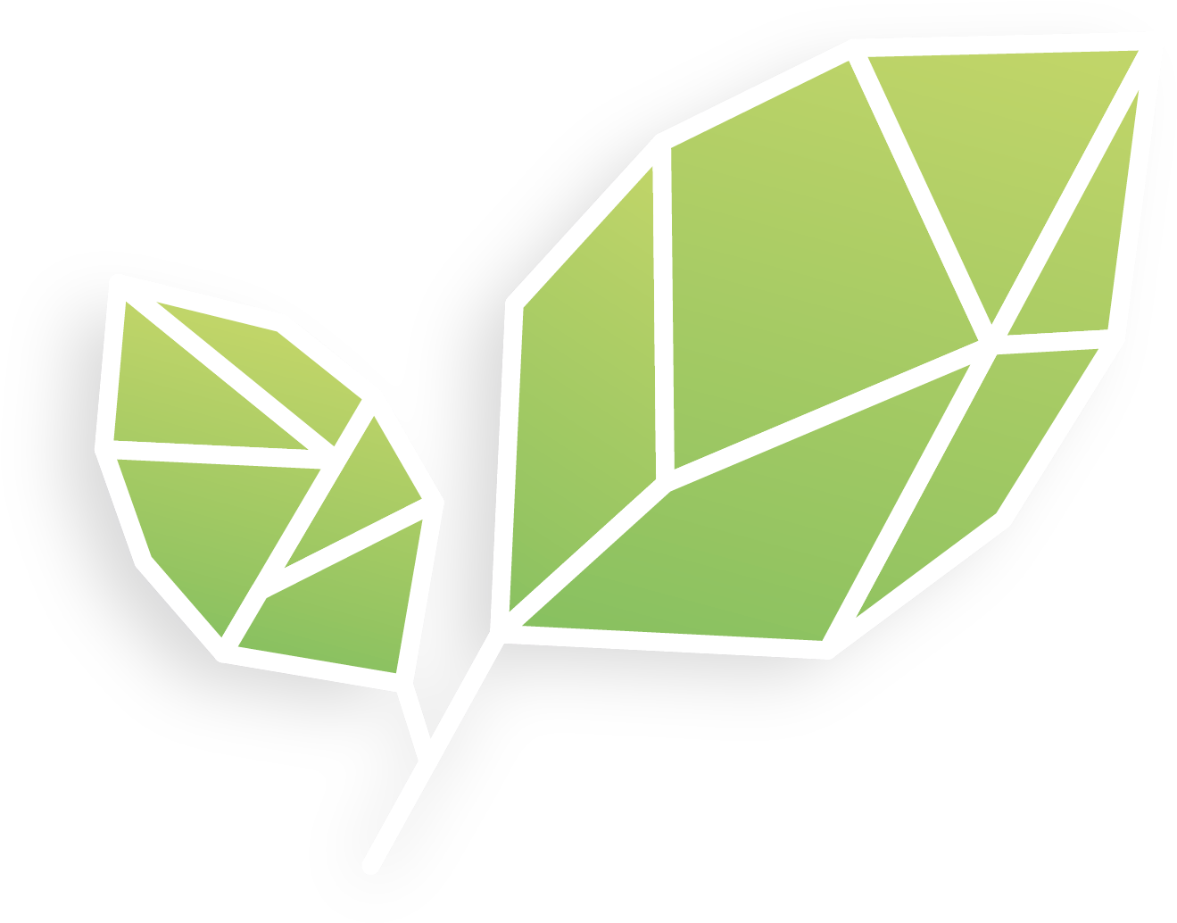 Download Leaf - Triangle PNG Image with No Background - PNGkey.com