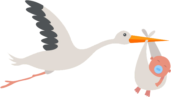Stork Png Transparent Background - Duck - Free Transparent PNG Download ...