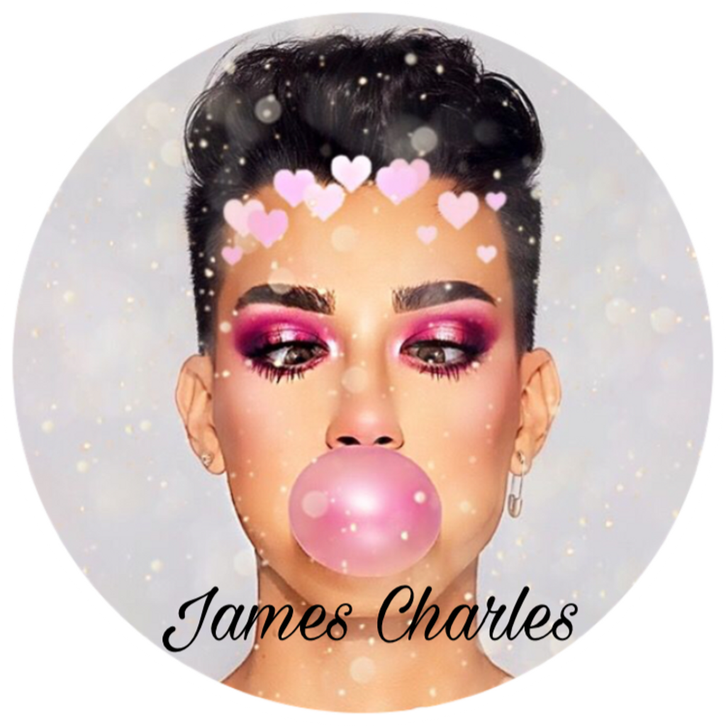 Sticker Sticker - James Charles Palette Pink Eyeshadow - Free ...