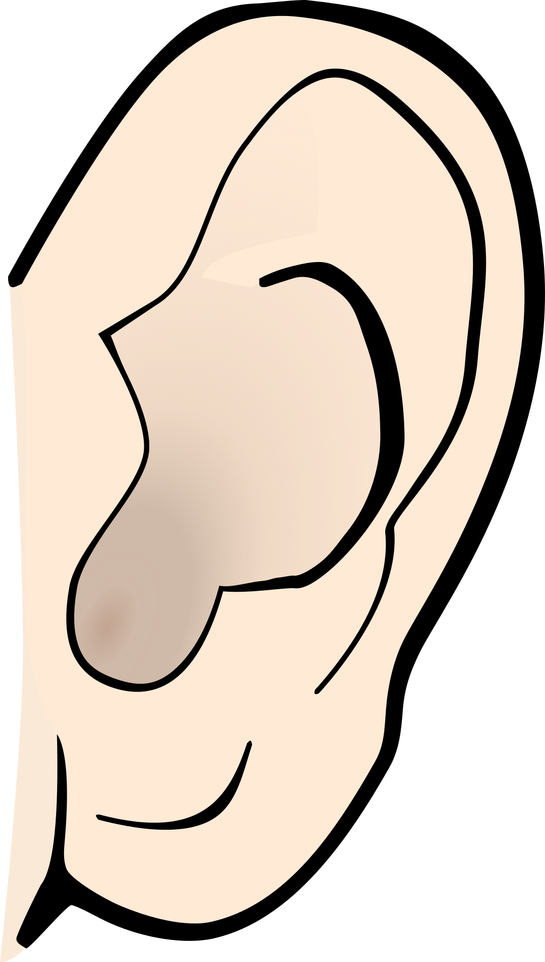 Download Ears Listening Png - Clip Art Ear PNG Image with No Background ...