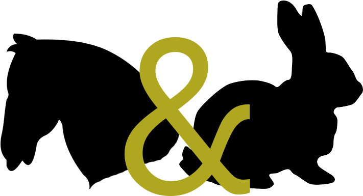 Download Rabbit Silhouette PNG Image with No Background - PNGkey.com