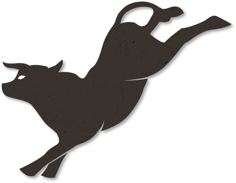 Download Bull - Bucking Bull Logo PNG Image with No Background - PNGkey.com