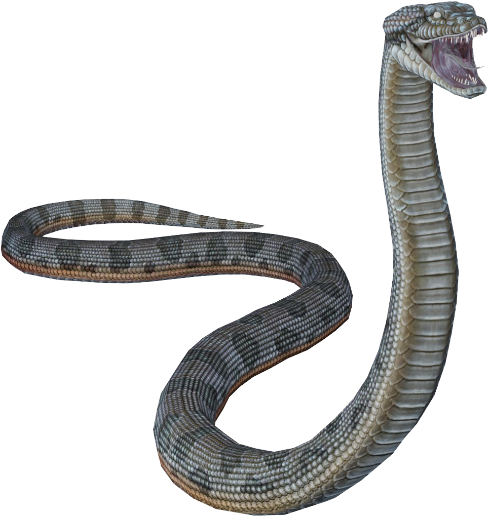 Snakes - Free Transparent PNG Download - PNGkey