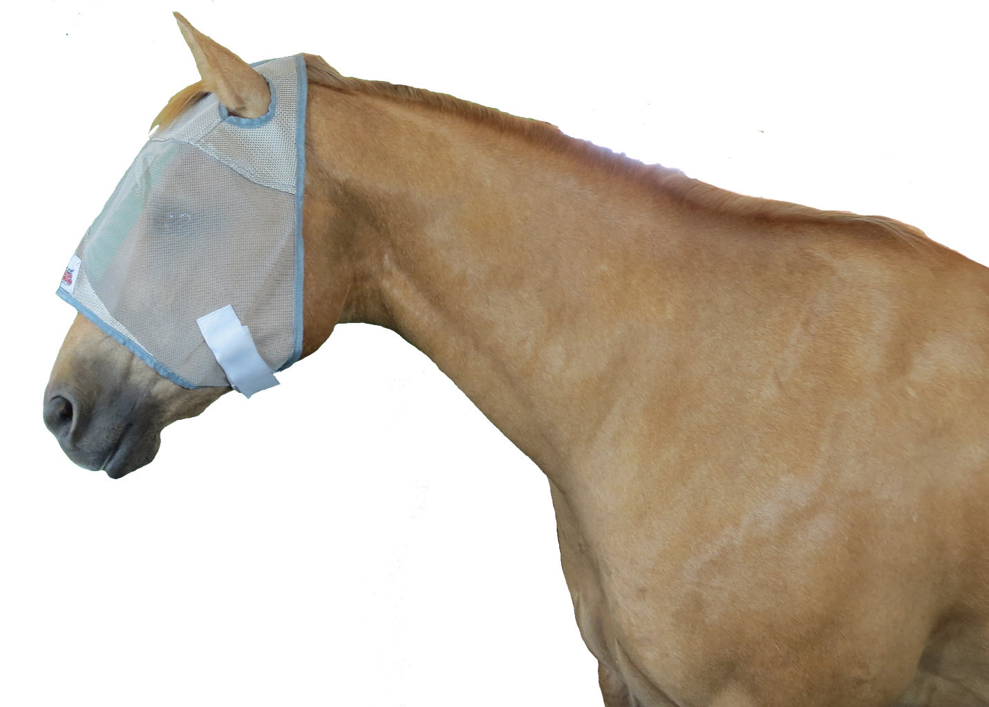 Download Quick View - Mask PNG Image with No Background - PNGkey.com